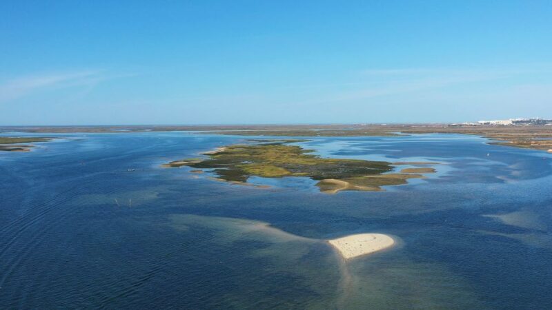 Olhão: Ria Formosa National Park and Islands Boat Cruise - The Sum Up