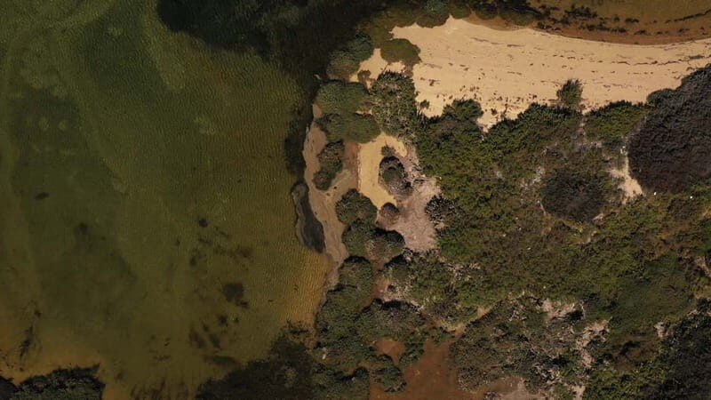 Olhão: Ria Formosa National Park and Islands Boat Cruise - FAQ