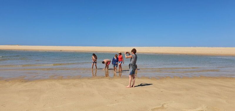 Olhão:5h ride 3 stops on the beaches and islands Ria Formosa - An In-Depth Look at the Tour