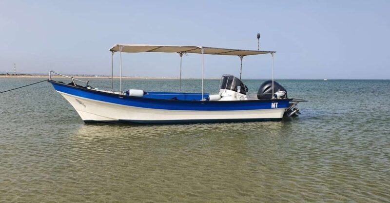 Olhão:5h ride 3 stops on the beaches and islands Ria Formosa - Who This Tour Is Best For