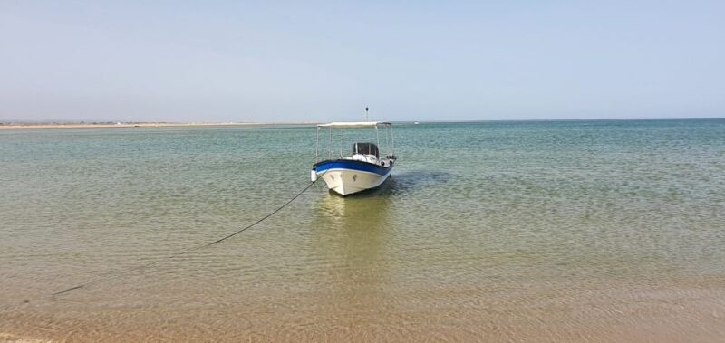Olhão:5h ride 3 stops on the beaches and islands Ria Formosa - Final Thoughts