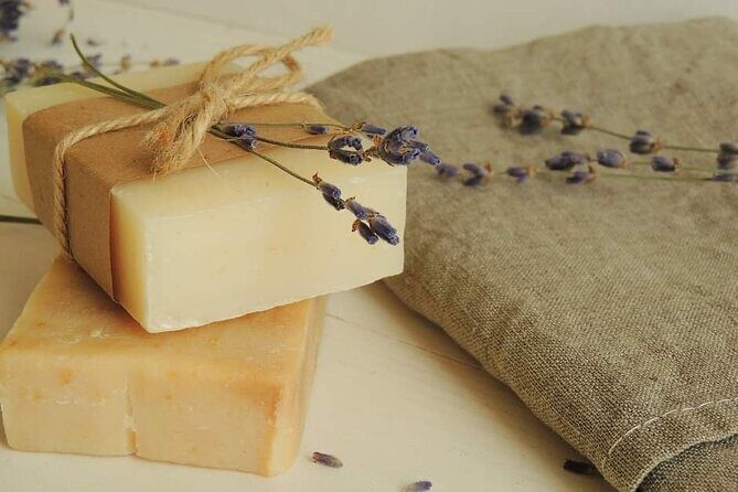 Olive harvest, visit to the oil mill and typical lunch - A Detailed Look at the Olive Harvest Tour