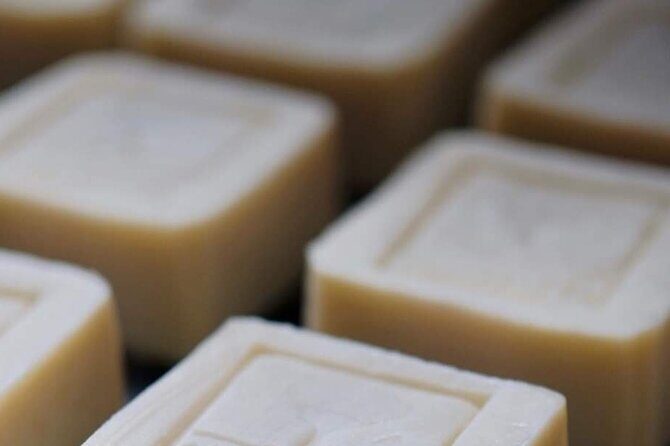 Olive harvest, visit to the oil mill and typical lunch - Final Thoughts: Who Should Book This Tour?