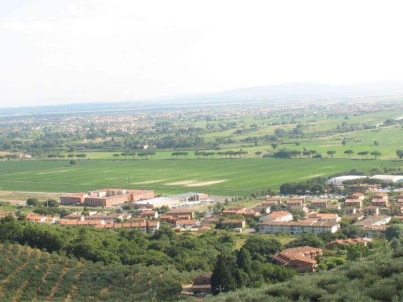 Olive Mill Tour with Oil and Food Tastings near Pisa - Practical Details and Tips