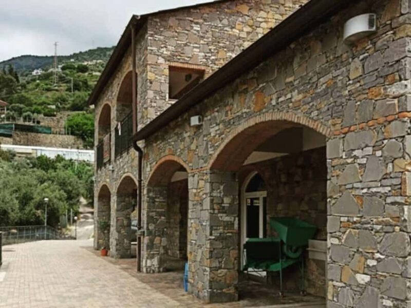 Olive Mill Visit & Guided Tasting in Taggia - Exploring the Taggia Olive Mill: History Meets Modern Practice