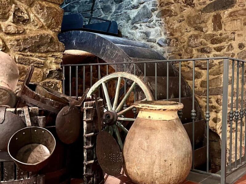 Olive Mill Visit & Guided Tasting in Taggia - Who Will Love This Experience?