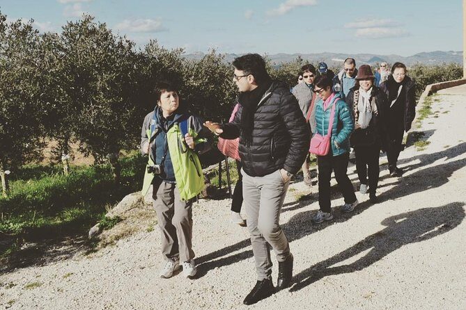 Olive Oil Experience - Discover the Authentic Taste of Sicily with the Olive Oil Experience