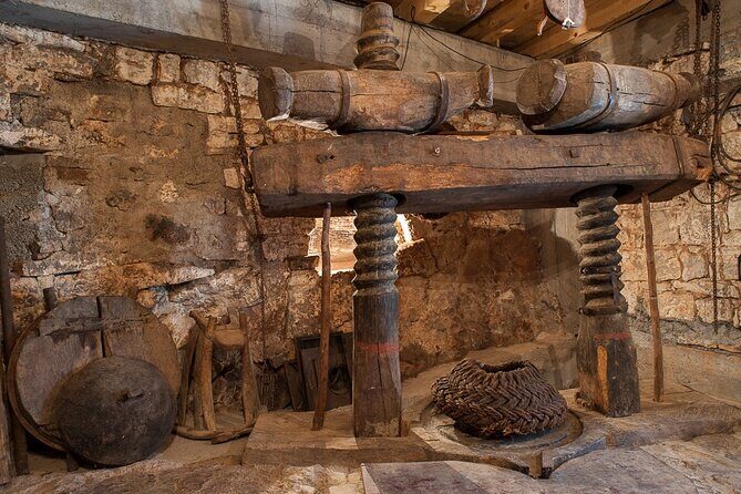Olive oil farm to fork experience & short walking tour of Kotor - Exploring the Experience in Detail