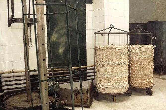 Olive Oil Farm Tour with Tasting from Seville - An In-Depth Look at the Tour Experience