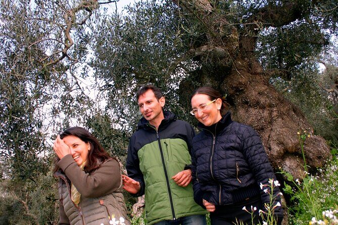 Olive Oil Mill experience and tasting in Salento with Guide - FAQs About the Olive Oil Mill Experience