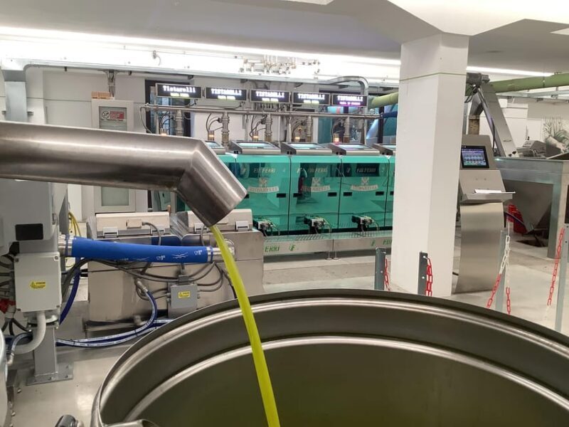 Olive Oil Mill Tour & EVO Oils Tasting - Sarteano, Tuscany - Richly Detailed Breakdown of the Experience