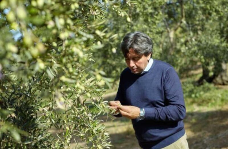Olive Oil Mill Tour with Tasting near Molfetta & Bari - In-Depth Review of the Olive Oil Mill Tour