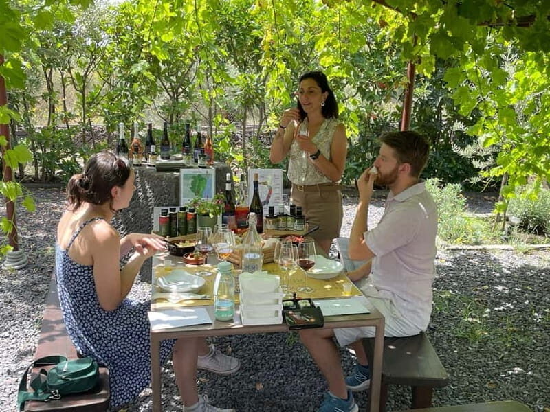 Olive Oil Tasting Experience in Nicolosi - What the Tour Offers