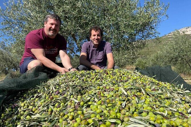 Olive Oil Tour & Tasting with sommelier -Kalentzi, Athens daytrip - The Sum Up: Is This Tour Worth It?