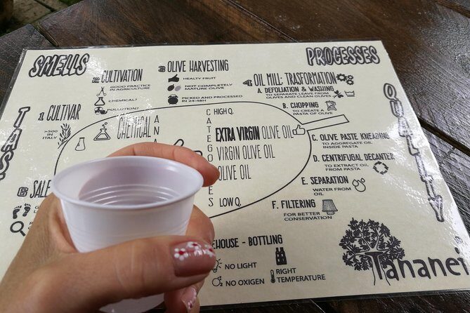 Olive Oil tour with Tuscan dinner - Exploring the Full Experience: What to Expect