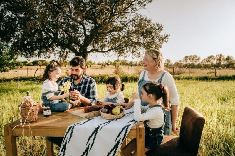 Olive plant and mill visit and tasting - An In-Depth Look at the Mallorca Olive Oil Tour