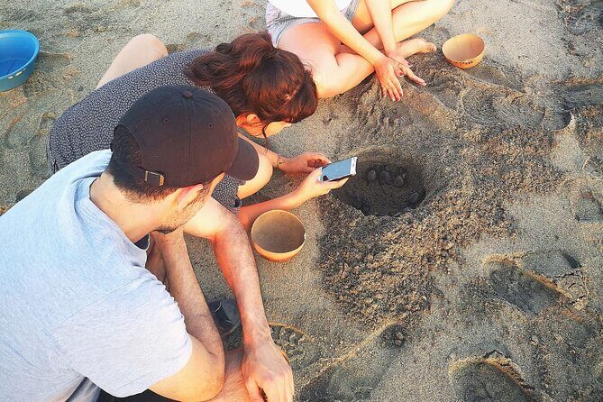 Olive Ridley Turtle Release Experience - What Travelers Are Saying