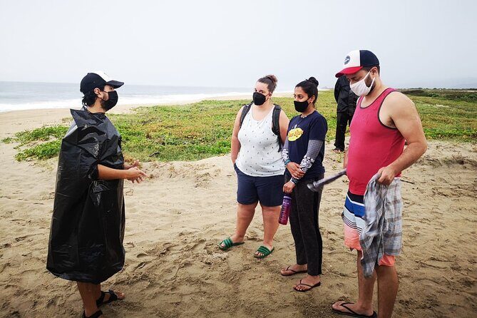 Olive Ridley Turtle Release Experience - Things to Keep in Mind