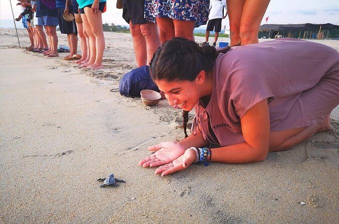 Olive Ridley Turtle Release Experience - The Sum Up