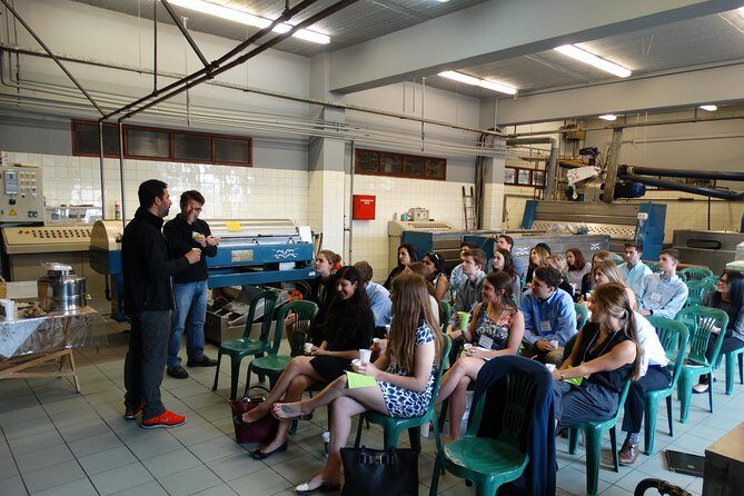 Olive Tour & Tasting - Key Points