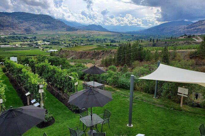 Oliver & Osoyoos Private Wine Tour - Half Day - Final Thoughts