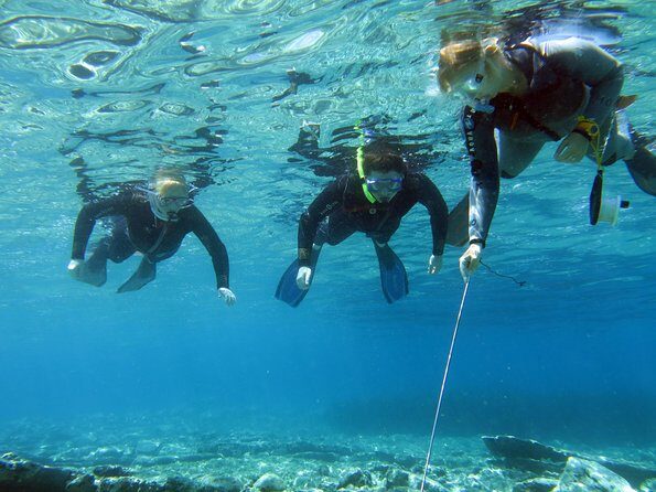 Olous  Guided Snorkelling Excursion to Discover Olous Sunken Ancient City - Key Points