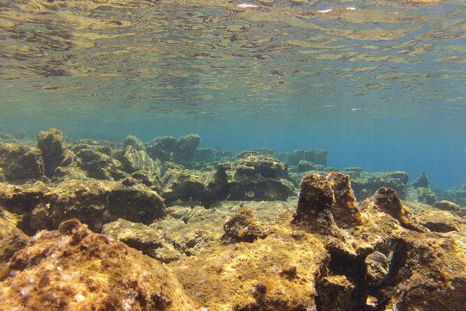 Olous  Guided Snorkelling Excursion to Discover Olous Sunken Ancient City - Final Thoughts