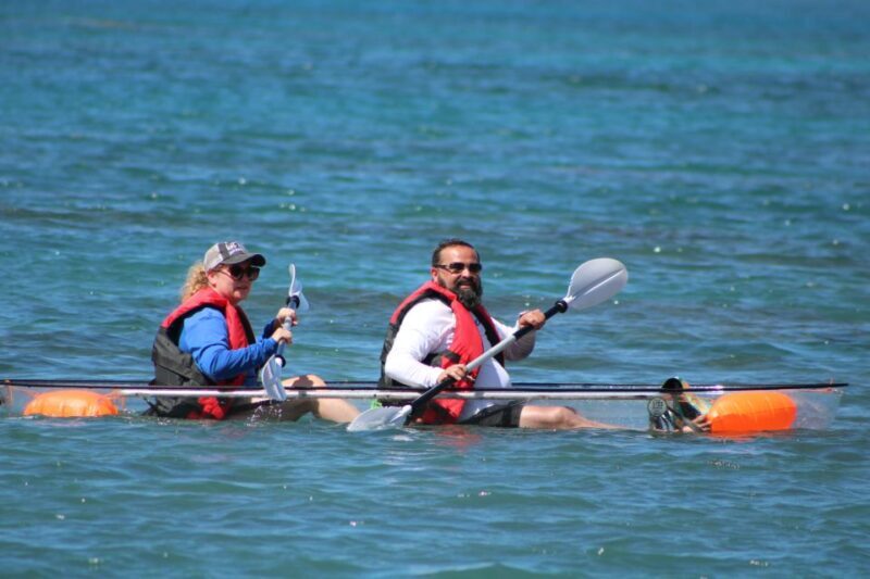 Olowalu: Guided Clear Kayak Tour - Unlimited - The Highlights of the Tour