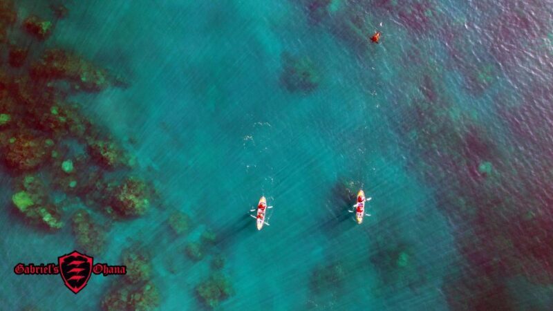 Olowalu: Guided Clear Kayak Tour - Unlimited - Breakdown of the Itinerary
