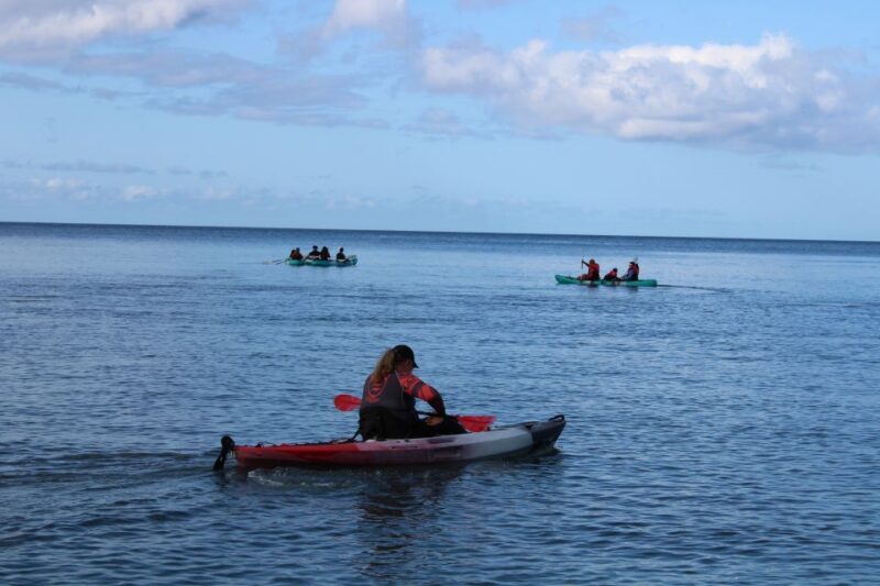 Olowalu: Guided Kayak and Snorkeling Tour - Unlimited - Exploring the Olowalu Guided Kayak and Snorkeling Tour: An Authentic Maui Adventure