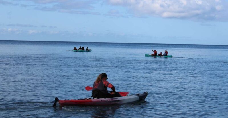 Olowalu: Guided Kayak and Snorkeling Tour - Unlimited - Key Points