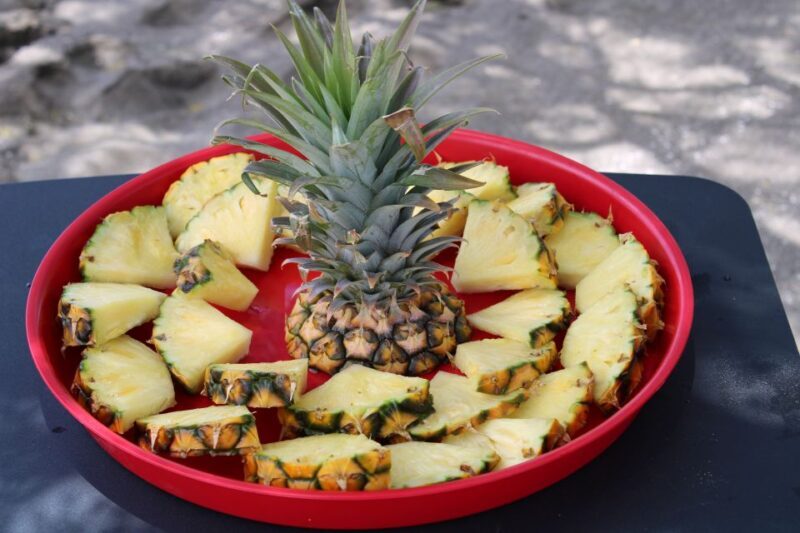 Olowalu: Guided Kayak and Snorkeling Tour - Unlimited - FAQ