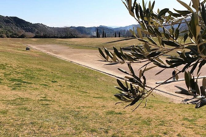 Olympia Shore Ex: Premium Private Package -Tickets & Olive Market - Key Points