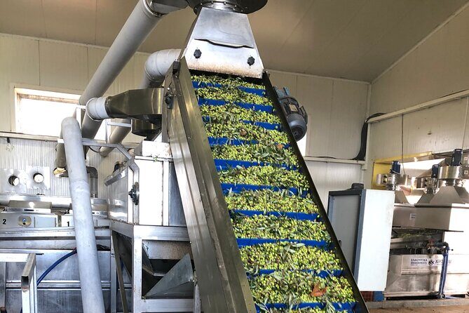 Olympia shore Excursion - 4 hour tour (Olympia, Olive press, Beach) - FAQ