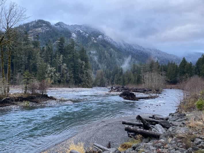 Olympic National Park: Half-Day Tour - Key Points