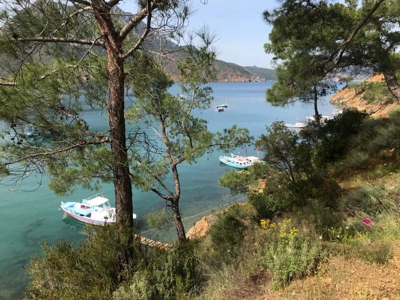 Olympos, Cirali, Chimera Night Tour with Dinner at Ulupinar - Final Thoughts