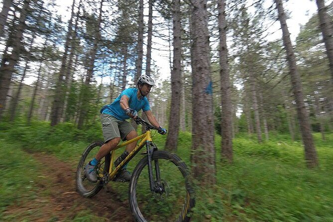 Olympus Mountain Biking - Rides tailored to you - What’s Included and What to Consider