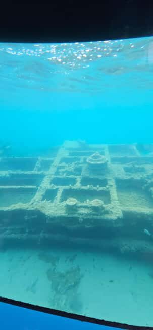 Omi: Semi-Submarine Underwater Adventure - Who Should Consider This Tour?