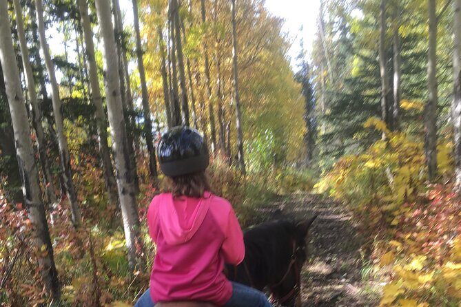 One and Half Hour Trail Ride at The Base of Chugach Mountains - Practical Details: Duration, Pricing, and Booking