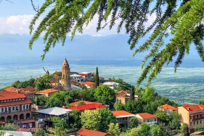 One Day Kakheti Tour with Wine Tasting and Free Churchkhela - The Value and Practicalities