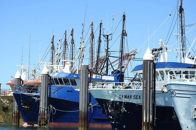 One Day Port Lincoln Tour - Tasting Eyre - FAQs