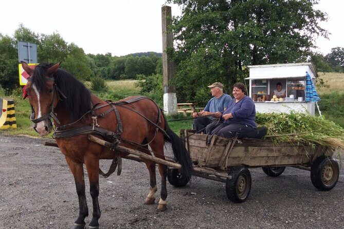 One Day Private Tour to Peles and Dracula Castles & Brasov City - Logistics and Practical Aspects