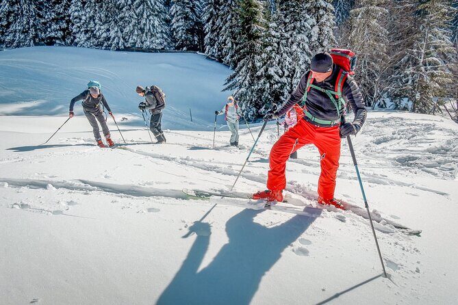 One Day Ski Touring Workshop - The Guiding Experience: Knowledgeable and Approachable