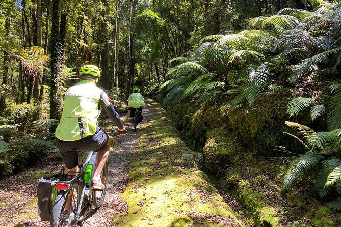 One Day Tour from Hokitika on Wilderness Trail by eBike - Exploring the Wilderness Trail by eBike from Hokitika: A Detailed Review