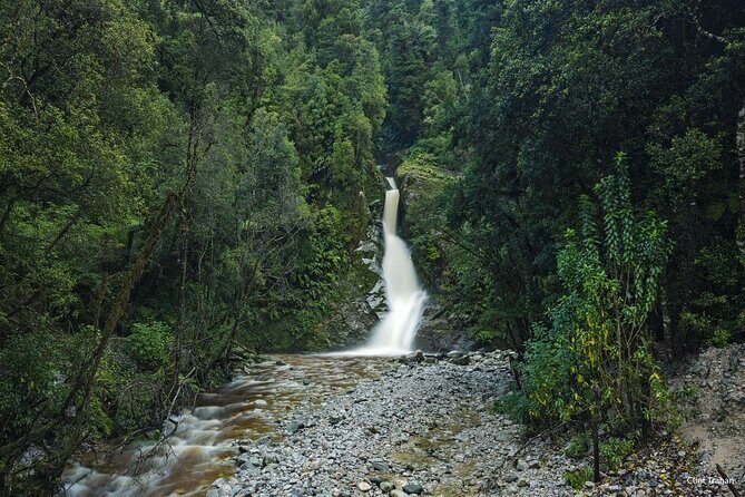 One Day Tour from Hokitika on Wilderness Trail by eBike - Who Will Love This Tour?
