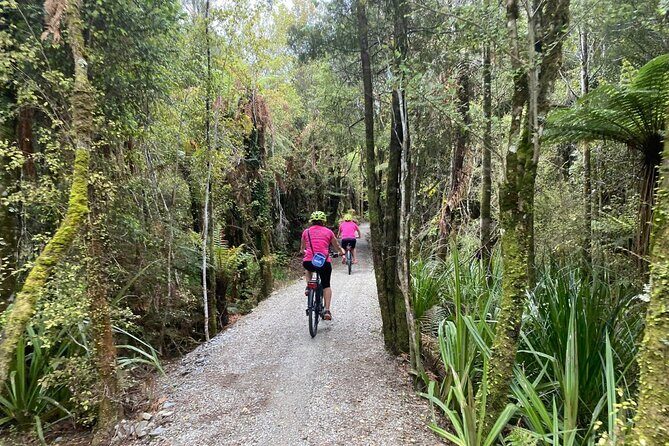 One Day Tour from Hokitika on Wilderness Trail by eBike - The Sum Up