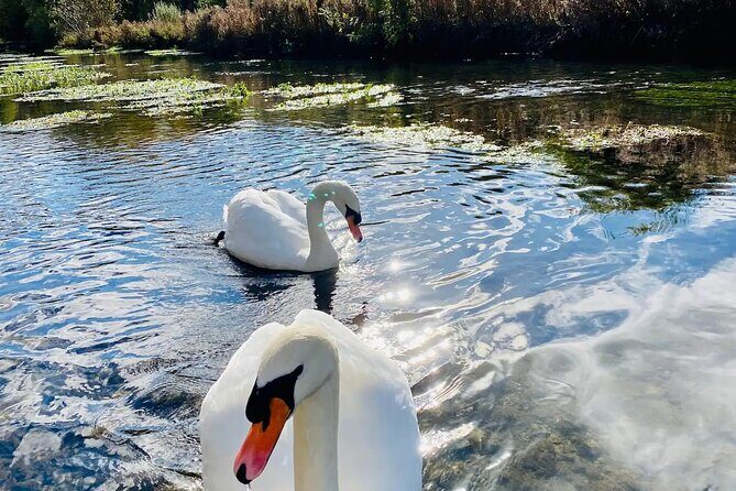 One Day Tour from London to The Cotswolds - Price and Value