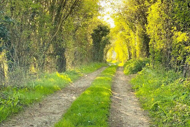 One Day Tour from London to The Cotswolds - Who Would Love This Tour?