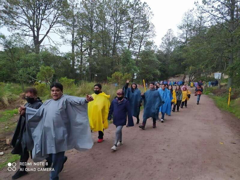 One day tour from Mexico City to Firefly Sanctuary - Practical Tips for a Smooth Experience