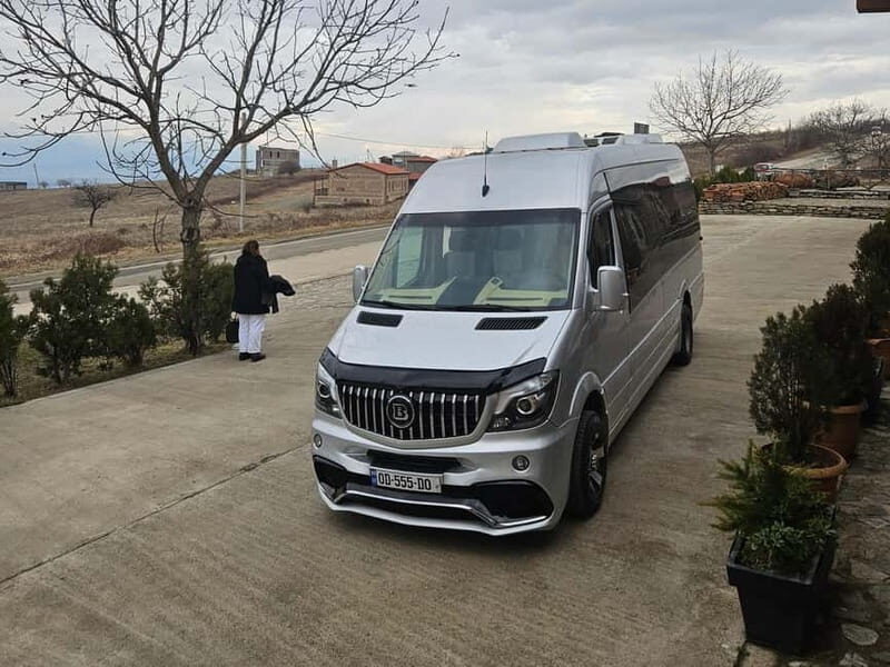 One-day tour in Kakheti with a guide and free wine tasting - Final Thoughts: Who Should Take This Tour?